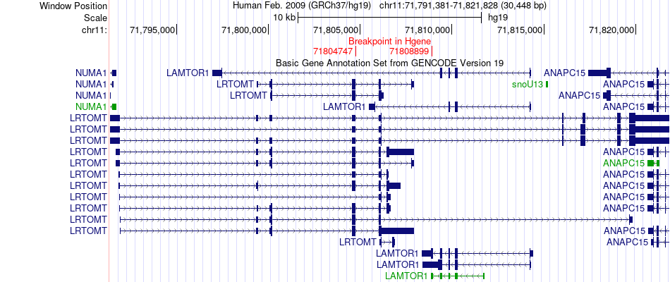 FusionGDB: Fusion Gene annotation DataBase - Search