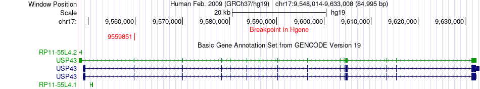 FusionGDB: Fusion Gene annotation DataBase - Search