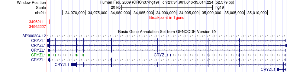 FusionGDB: Fusion Gene annotation DataBase - Search