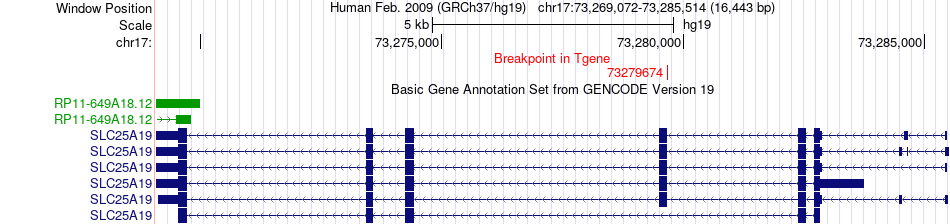 FusionGDB: Fusion Gene annotation DataBase - Search