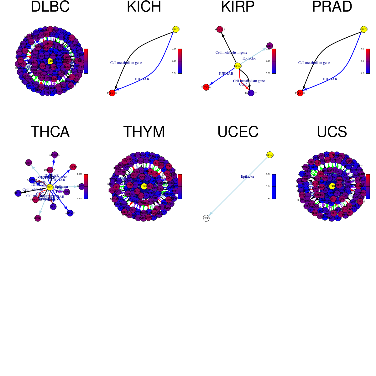 TranslFac: Annotation of Human Translation Factors - Search