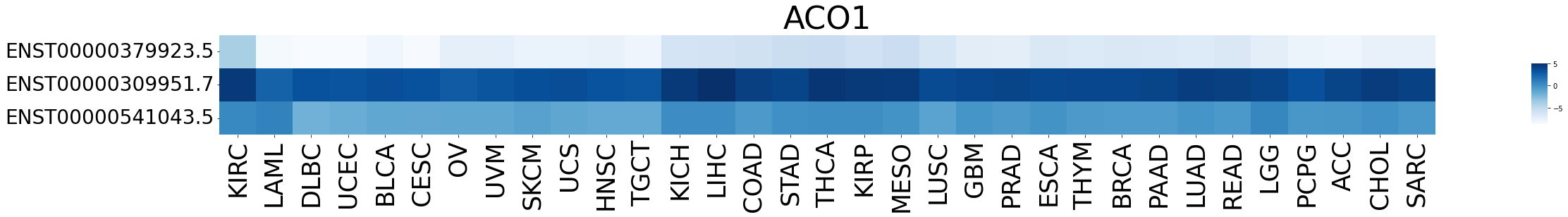 TranslFac: Annotation of Human Translation Factors - Search